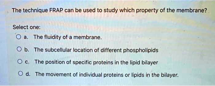 the technique frap can be used to study which property of the membrane ...