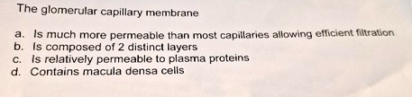 the glomerular capillary membrane a is much more permeable than most ...