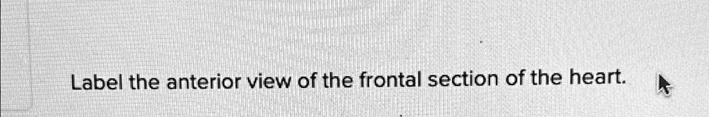 Label the anterior view of the frontal section of the heart.