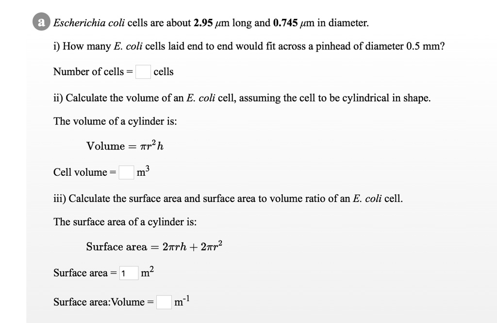 a Escherichia coli cells are about 2.95 µm long and 0.745 µm in diameter. i) How many E. coli ...