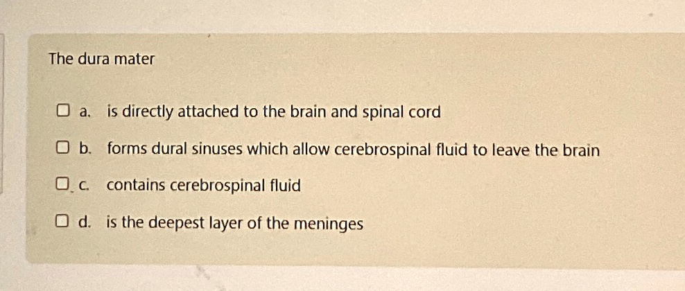 the dura mater a is directly attached to the brain and spinal cord b ...