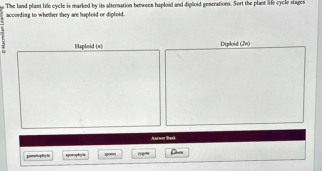 SOLVED: The land plant life cycle is marked by its alternation between ...