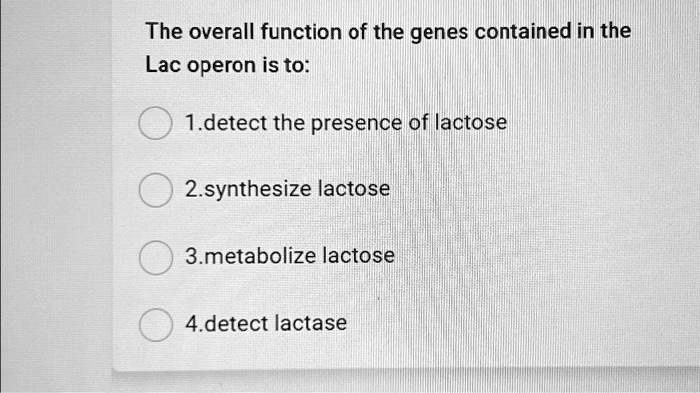 SOLVED: The overall function of the genes contained in the Lac operon ...