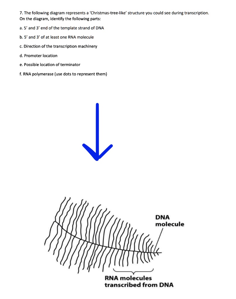 7the following diagram represents a christmas tree like structure you ...