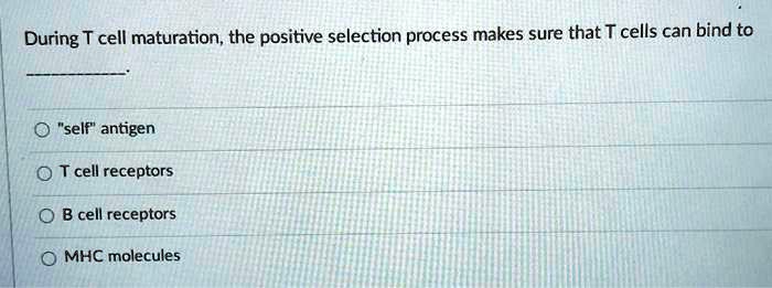 SOLVED: During T cell maturation; the positive selection process makes sure that T cells can ...