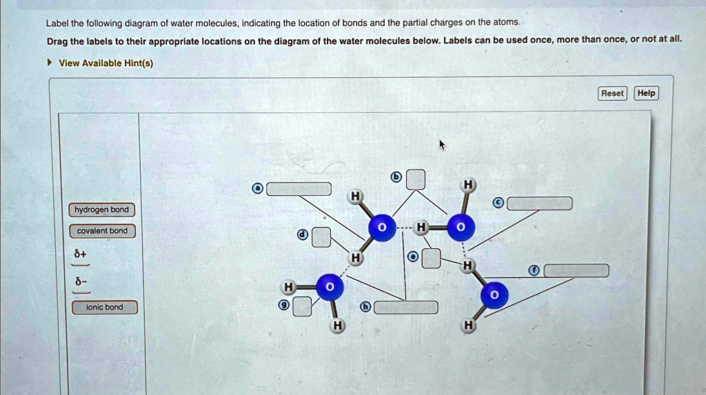 [GET ANSWER] label the following diagram of water molecules indicating the location of bonds and ...