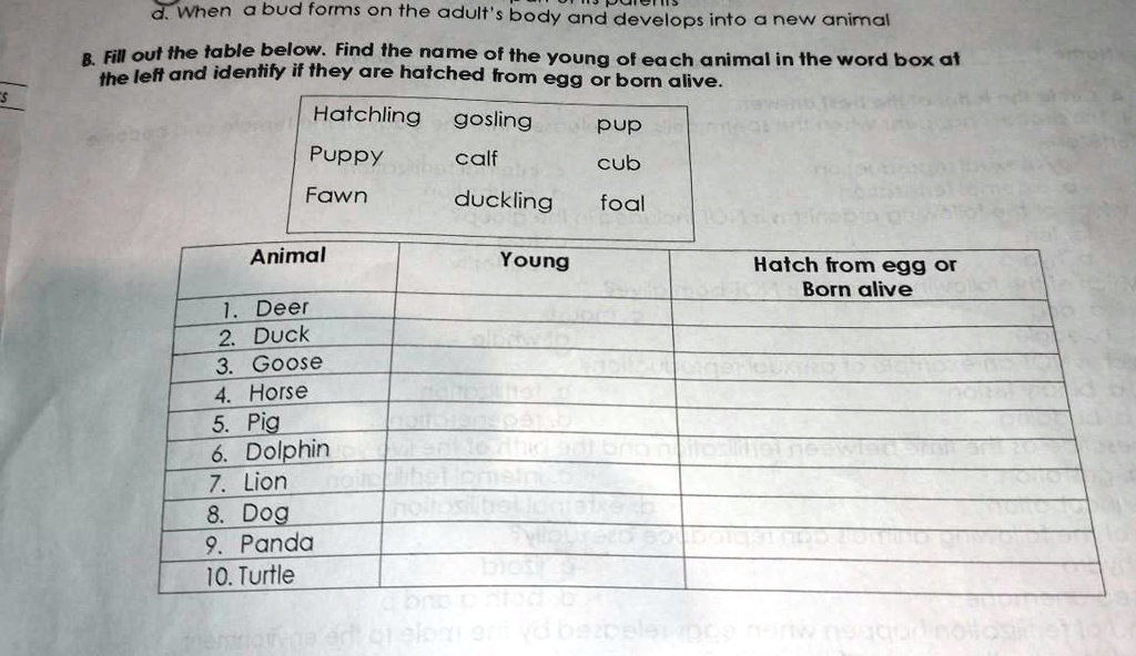 SOLVED: Need help guys :(( When a bud forms on the adult's body and ...