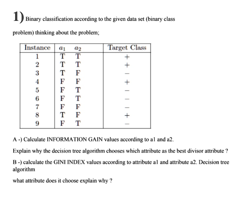 Solved Binary Classification According To The Given Data Set Binary Class Problem Thinking