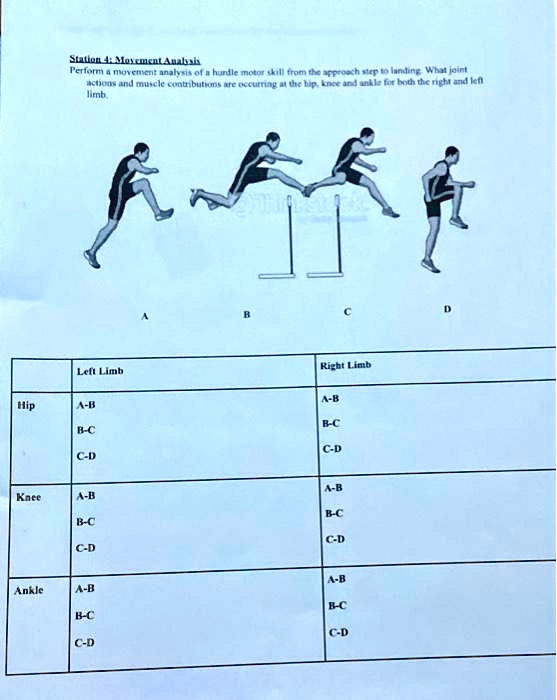 SOLVED: Texts: Hip Knee Ankle Station 4: Movement Analysis. Perform a ...