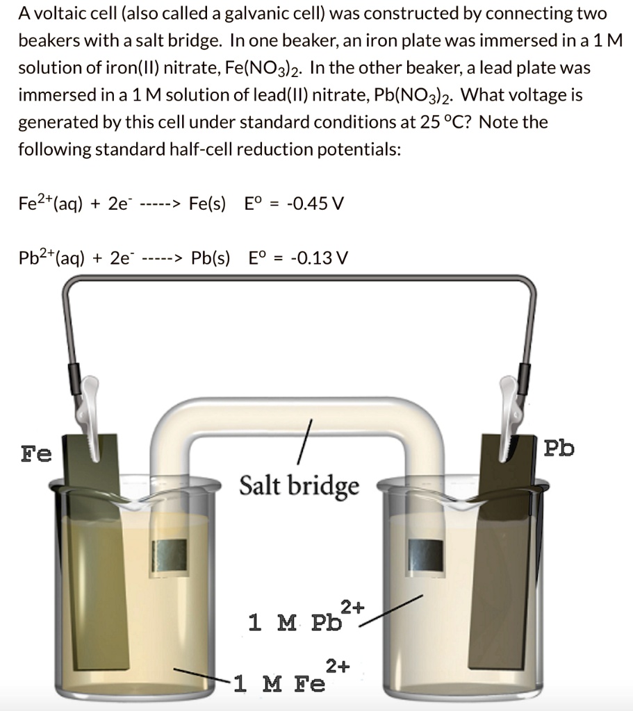avoltaic cell also called a galvanic cell was constructed by connecting two beakers with a salt ...