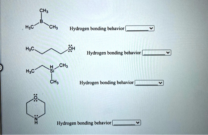 SOLVED: CH, H;c Hydrogen bonding behavior Hsc Hydrogen bonding behavior ...