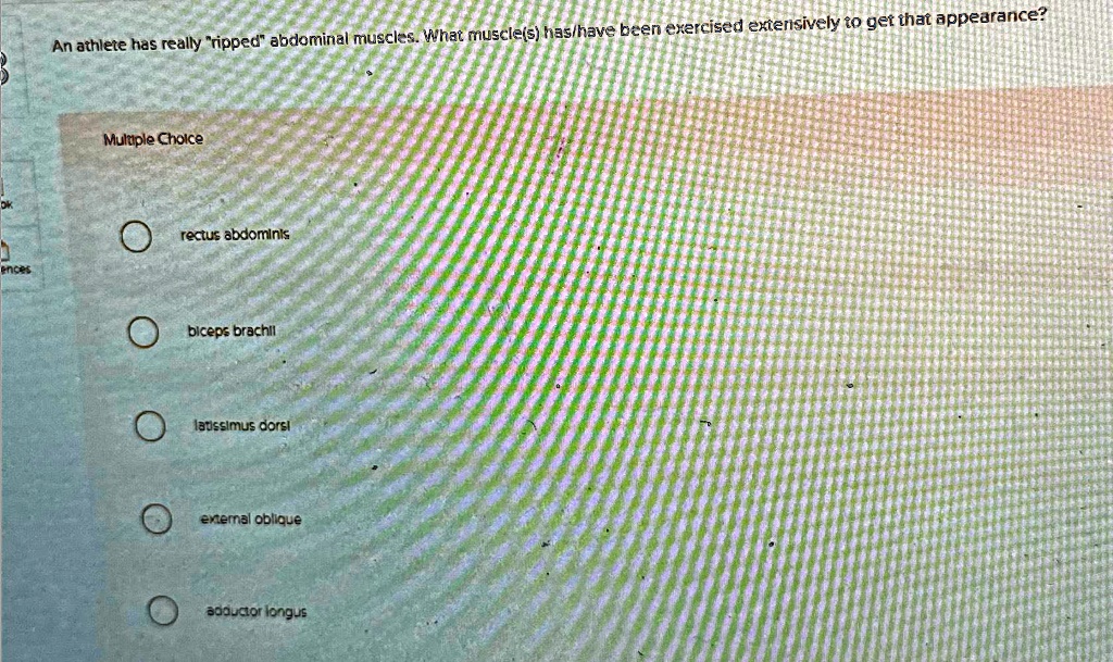 SOLVED: An athlete has really "ripped" abdominal muscles. What muscle(s ...