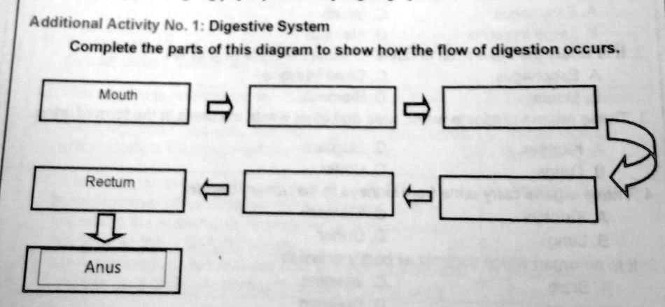 Additional Activity No. 1: Digestive System Complete the parts of this ...