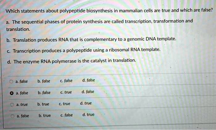 SOLVED: Which statements about polypeptide biosynthesis in mammalian ...