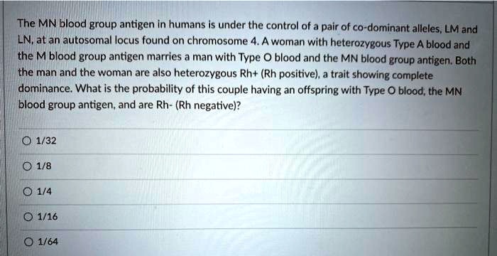 SOLVED: The MN blood group antigen in humans is under the control of a ...