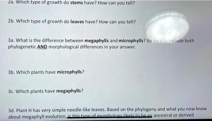 2a which type of growth do stems have how can vou tell 2b which type of ...