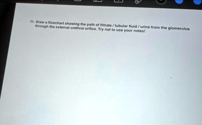 SOLVED: 11. Draw a flowchart showing the path of filtrate/tubular fluid ...
