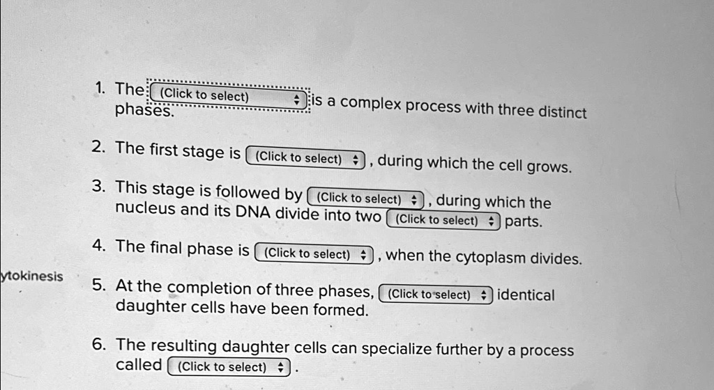 SOLVED: The phases: is a complex process with three distinct 2. The ...