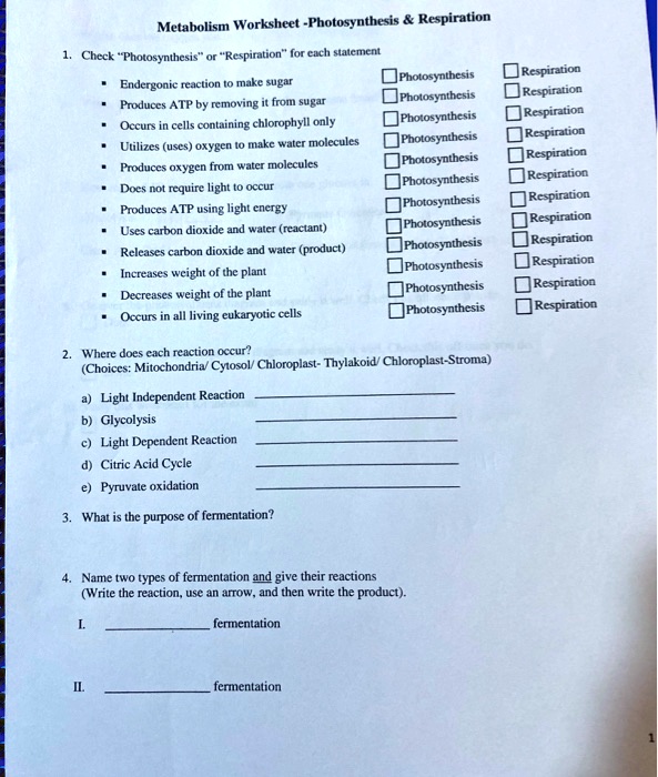 SOLVED: Title: Metabolism Worksheet - Photosynthesis Respiration Check "Photosynthesis ...