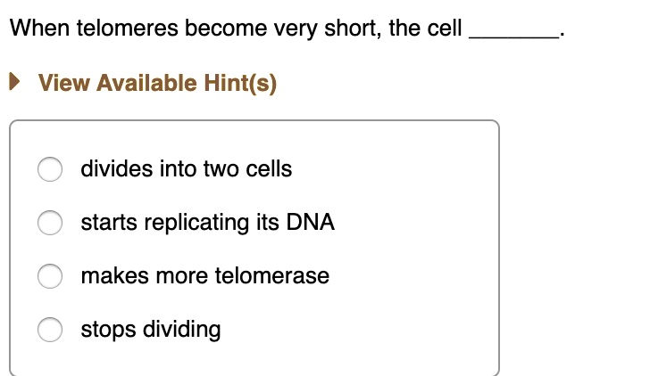 SOLVED: When telomeres become very short; the cell View Available Hint ...