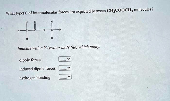 VIDEO solution: What type(s) of intermolecular forces are expected between CH3COOCH3 molecules ...