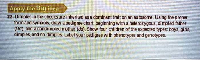 apply the big hidea 22 dimples in the cheeksare inherited asa dominant ...