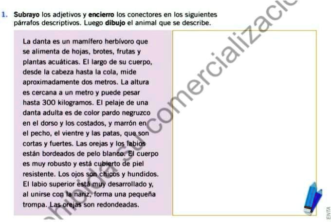SOLVED: ayuda porfavor se que son 5 puntos pero doy coronita . Subrayo ...