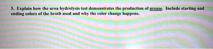 SOLVED: Explain how the urea hydrolysis test demonstrates the ...