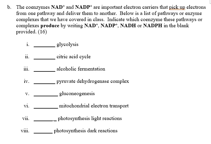 SOLVED: The coenzymes NAD+ and NADPt are important electron carriers ...