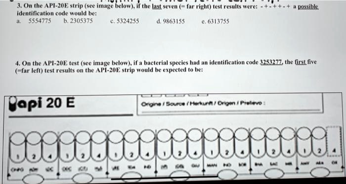 SOLVED: 3. On the API-20E strip, if the last seven (far right) test ...