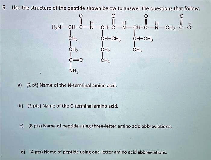SOLVED: 5. Use the structure of the peptide shown below to answer the questions that follow: O ...