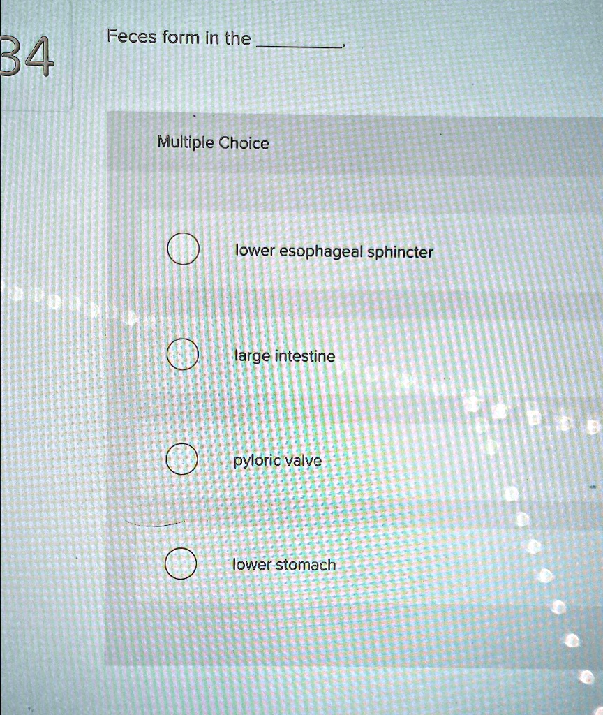 SOLVED: 34 Feces form in the Multiple Choice lower esophageal sphincter ...