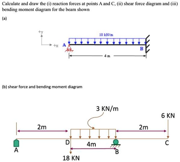 SOLVED: Calculate and draw the reaction forces at points A and C, the ...