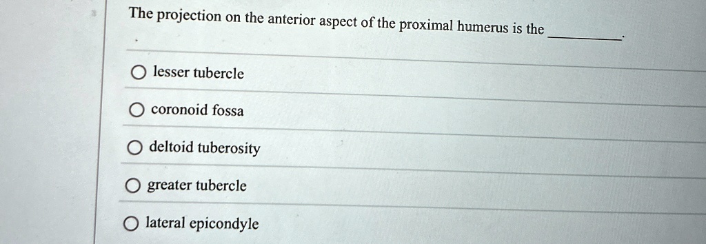 the projection on the anterior aspect of the proximal humerus is the ...