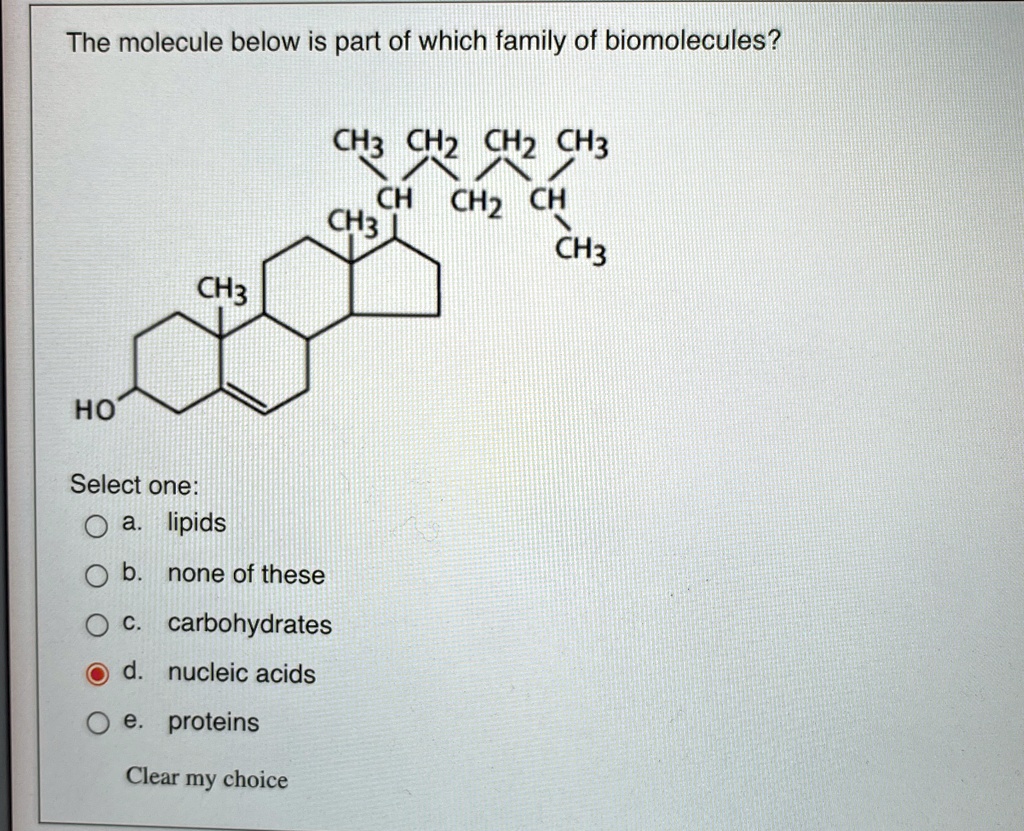 The molecule below is part of which family of biomolecules? CH3 CH2 CH2 CH3 CH CH2 CH CH3 CH3 ...