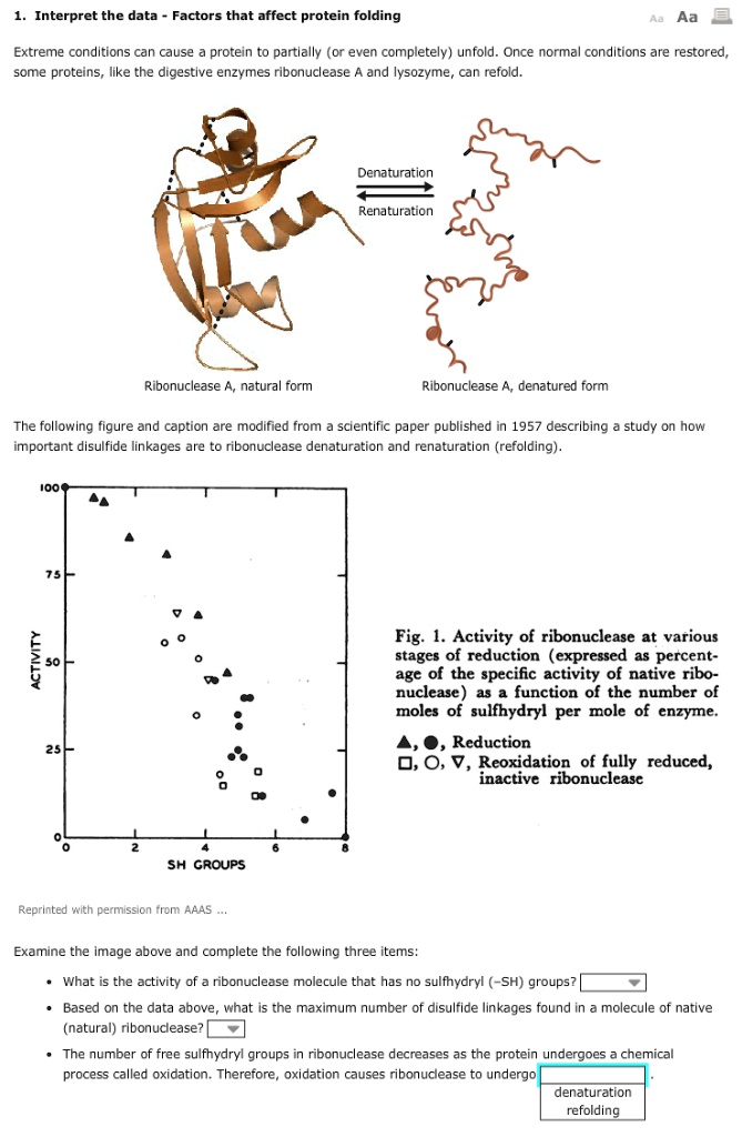 Solved Interpret The Data Factors That Affect Protein Folding Extreme