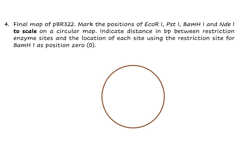 final map of pbr322 mark the positions of ecor i pst 1 bamh and nde to ...