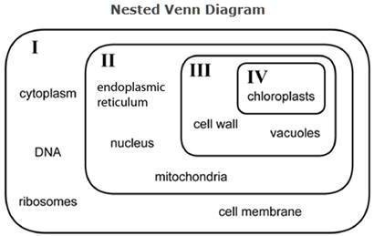 Nested Venn Diagram I II III IV cytoplasm endoplasmic reticulum ...