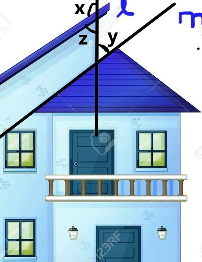 SOLVED: What is the relation between angle y and angle z? Alternate ...