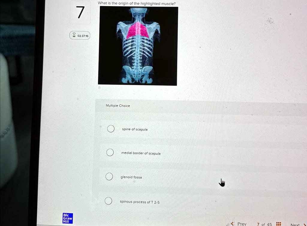 What is the origin of the highlighted...