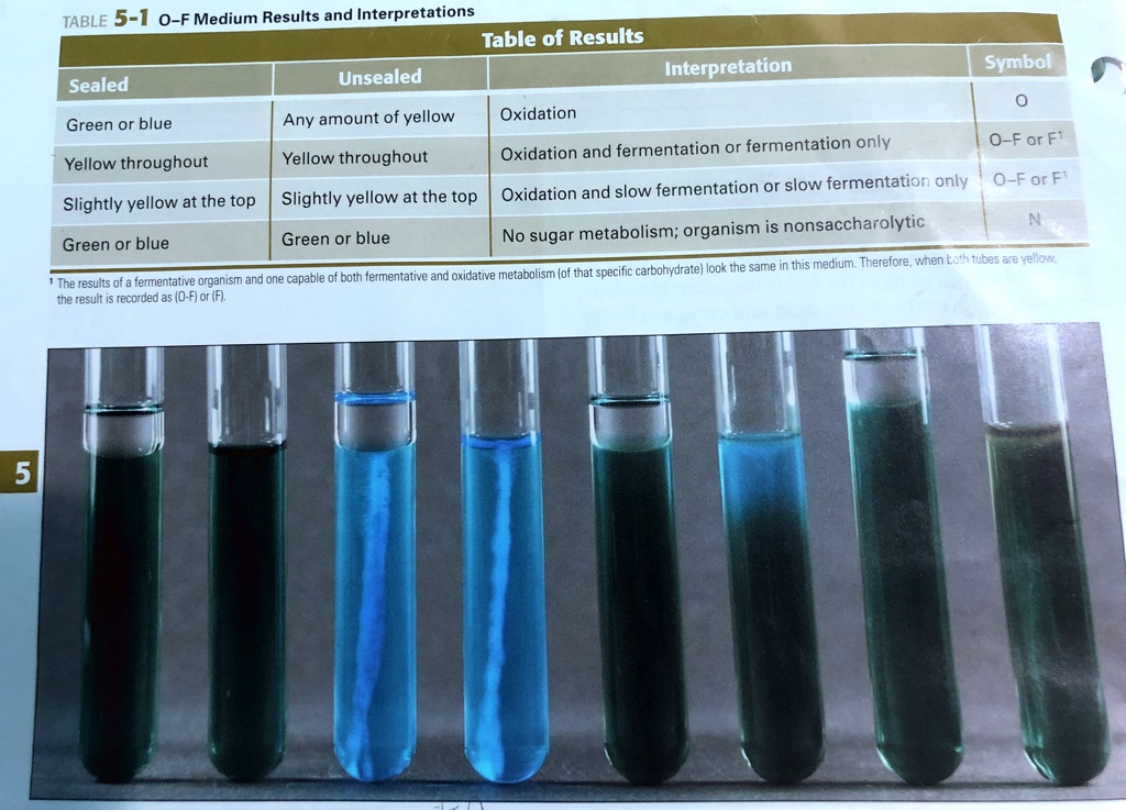 TABLE 5-1 O-F Medium Results and Interpretations Unsealed Table of ...
