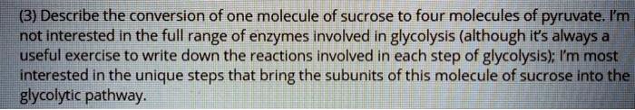 SOLVED:{3) Describe the conversion of one molecule of sucrose to four ...