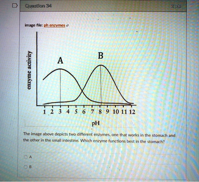 SOLVED: Question 34 pts image file: phenzymes B A 1 9 10 11 12 PH The ...