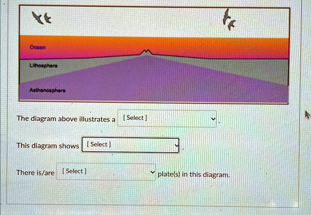 The diagram above illustrates a: This diagram shows: There is/are ...