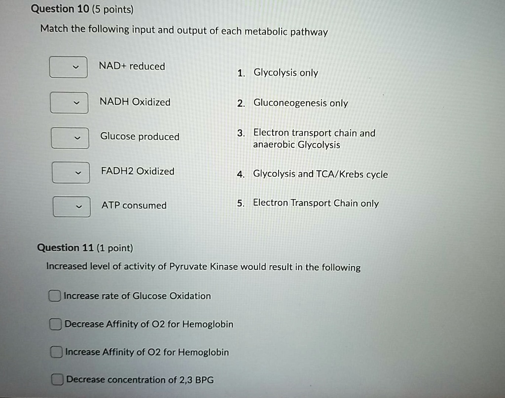 SOLVED: Question 10 (5 points) Match the following input and output of each metabolic pathway ...
