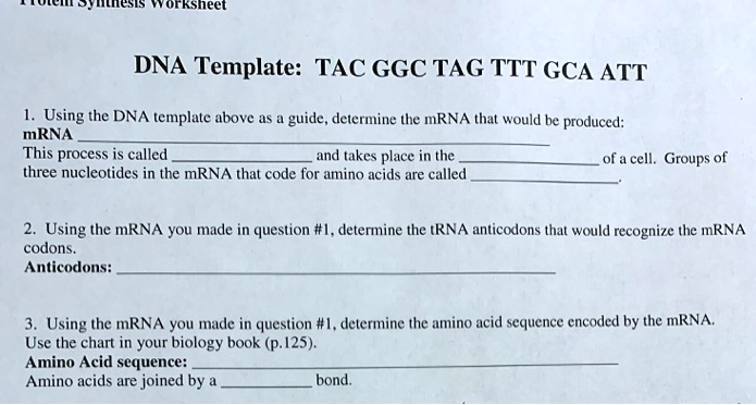 SOLVED: Orksneet DNA Template: TAC GGC TAG TTT GCA ATT Using the DNA ... SOLVED: Orksneet DNA Template: TAC GGC TAG TTT GCA ATT Using the DNA ...