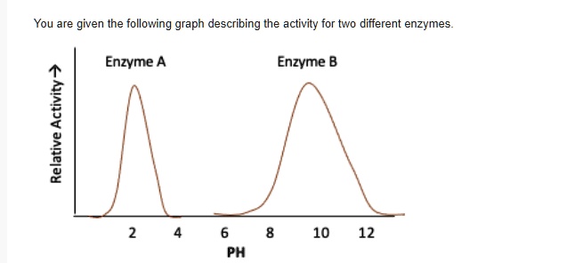 SOLVED: You are given the following graph describing the activity for two different enzymes ...