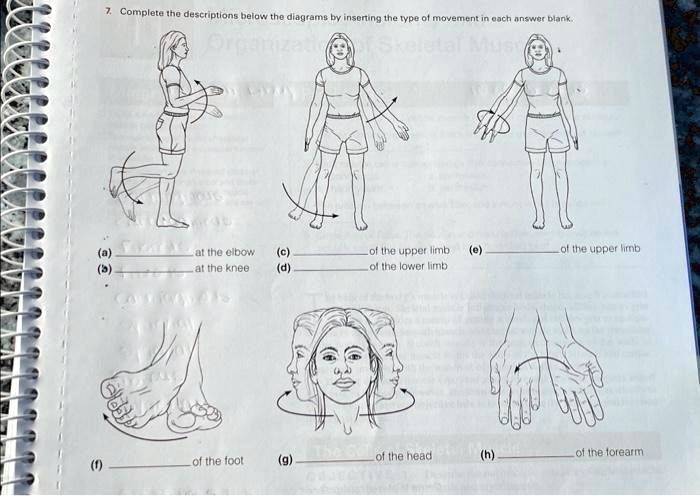 7. Complete the descriptions below the diagrams by inserting the type ...