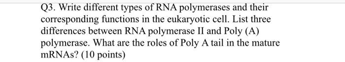 SOLVED: Q3. Write different types of RNA polymerases and their ...