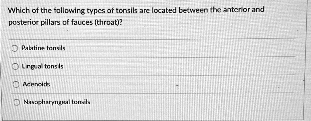 Which of the following types of tonsils are located between the ...